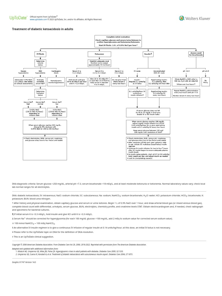 ADA Management Adults DKA - UpToDate | PDF