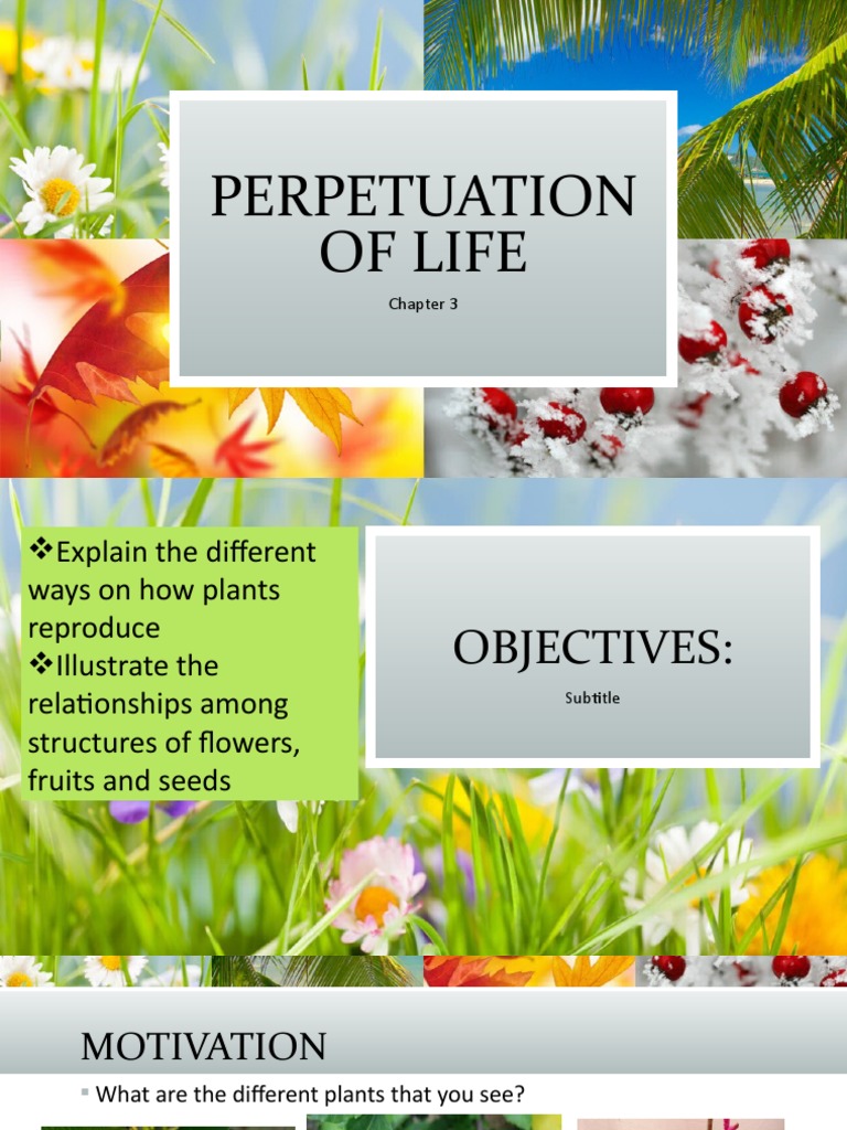 Perpetuation of Life Plant Reproduction | PDF | Plant Reproduction ...