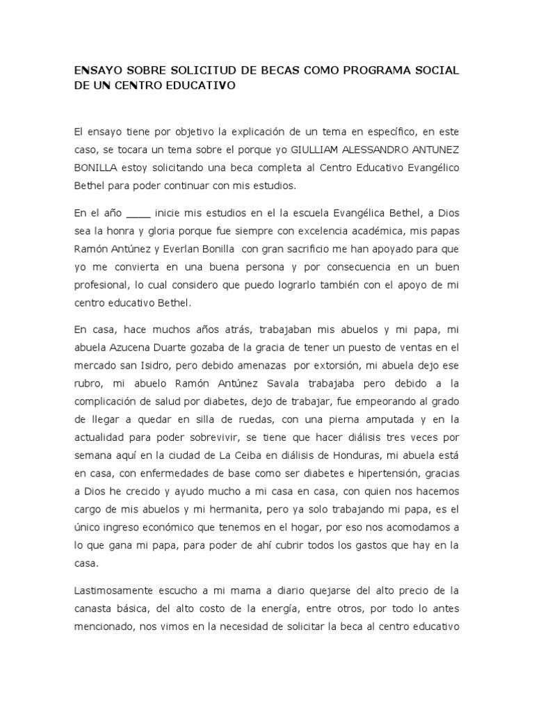Ensayo Julian | PDF