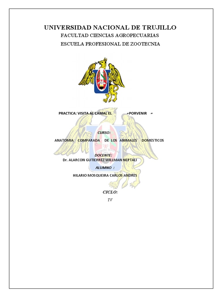 Informe Camal - Porvenir (1) NBJN | PDF