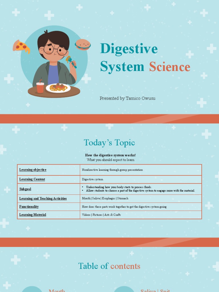 Understanding the Digestive System | PDF | Human Digestive System ...