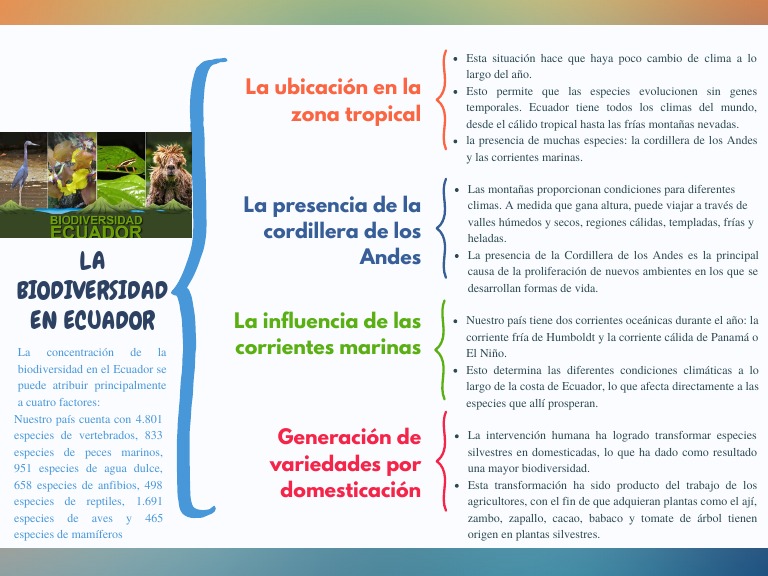 Cuadro Sinoptico Sobre La Descripción de La Biodiversidad en Ecuador | PDF | Clima | Ecuador