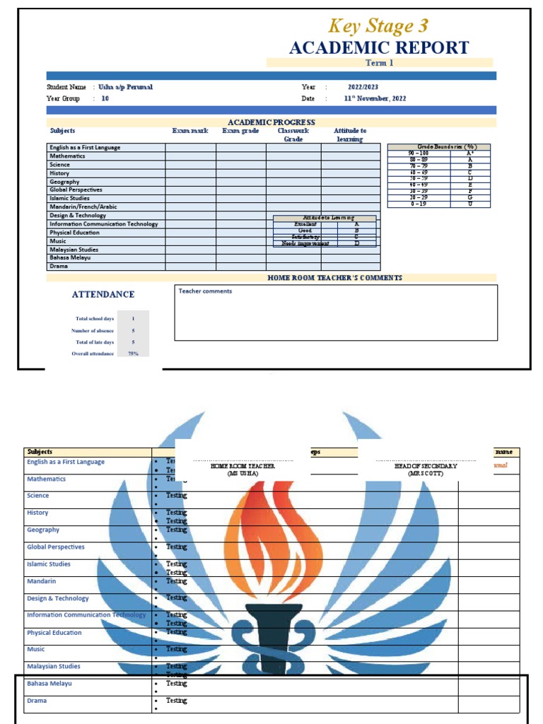 Key Stage 3: Academic Report | PDF | Science