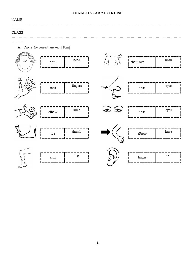 English Year 2 Exercise | PDF