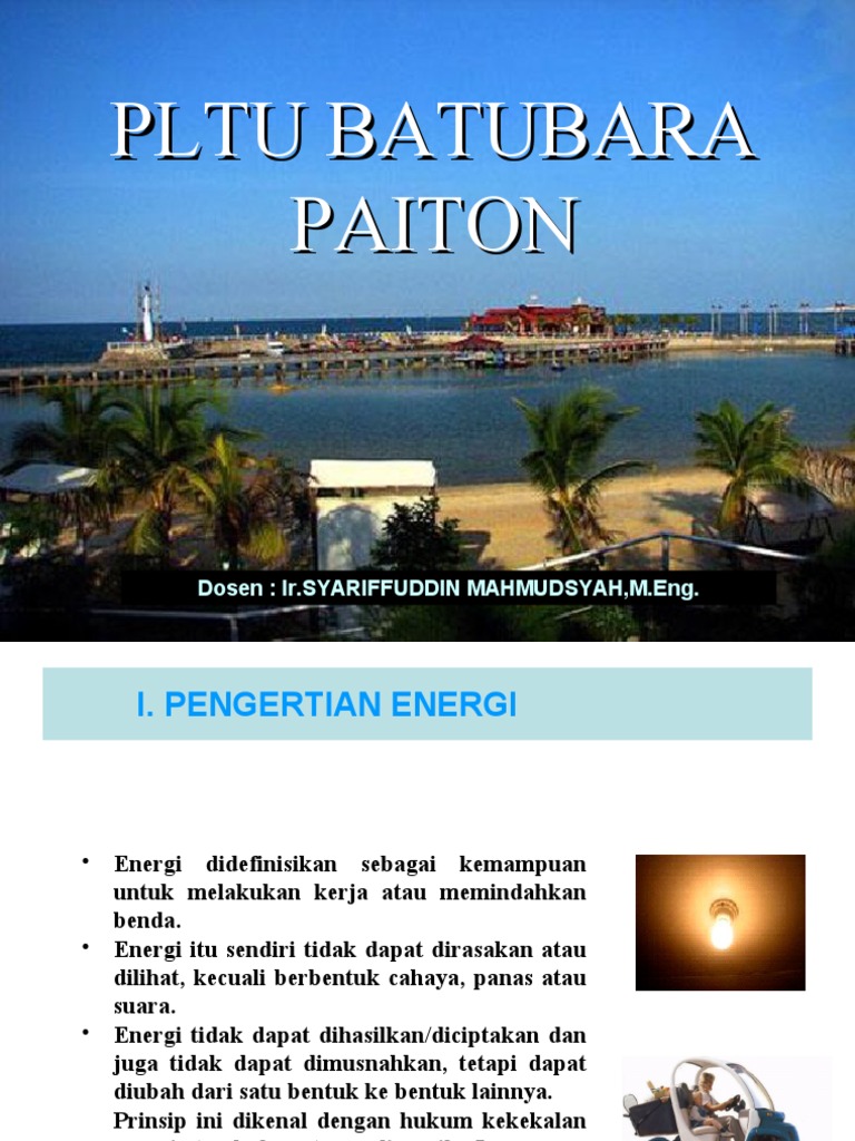 Pltu Batubara Paiton | PDF