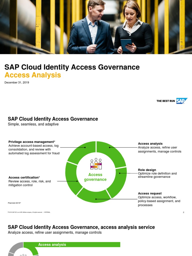 3 SAP Cloud Identity Access Gov Access Analysis | PDF