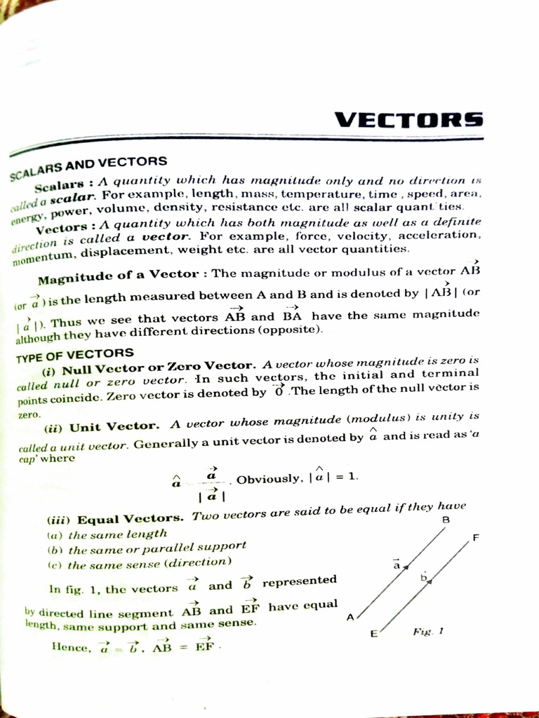 Vector | PDF