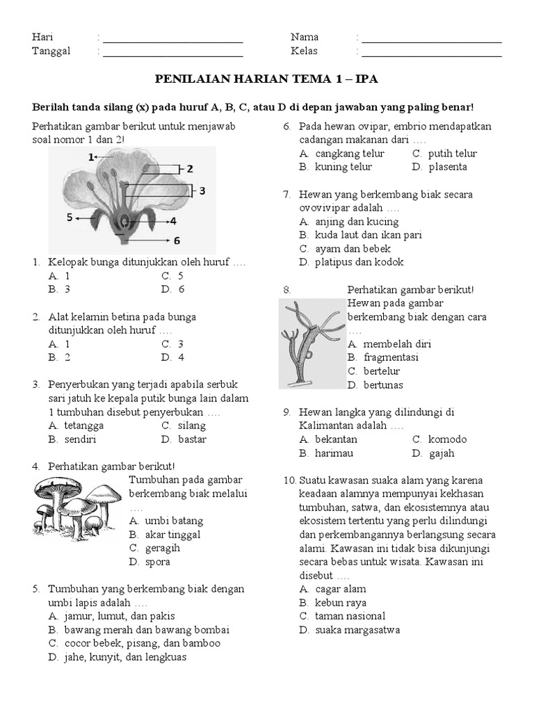 PH Kelas 6 Tema 1 - IPA Perkembangbiakan | PDF