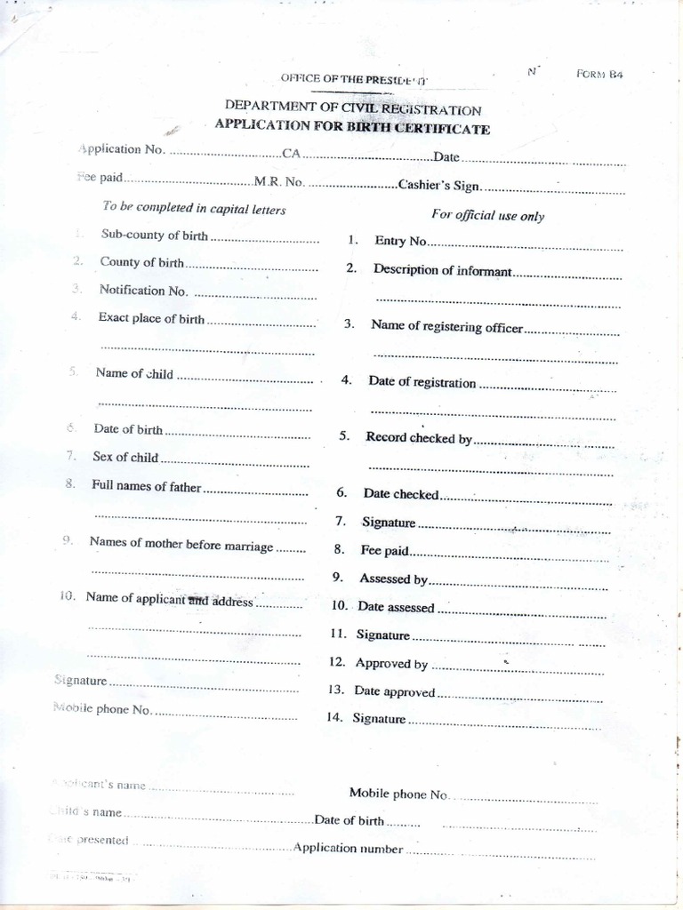 Birth Registration | PDF