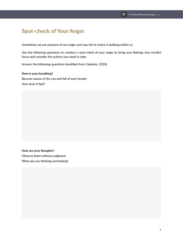 Spot Check of Your Anger | PDF