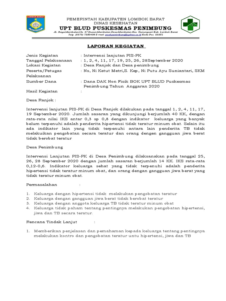 Contoh Laporan Intervensi | PDF