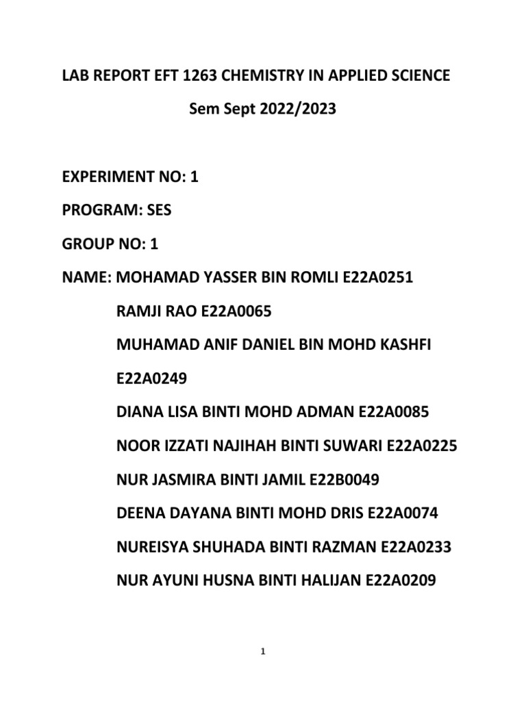 Group 1 SES Ex1 | PDF