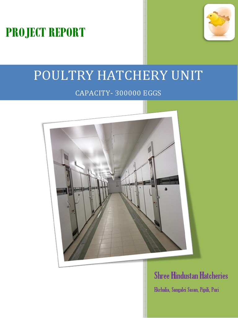 Project Report For 3000000 Poultry Eggs Hatchery | PDF | Net Income ...