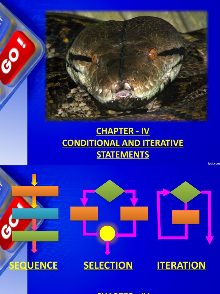 Chapter 9 Conditional and Iterative Statements | PDF