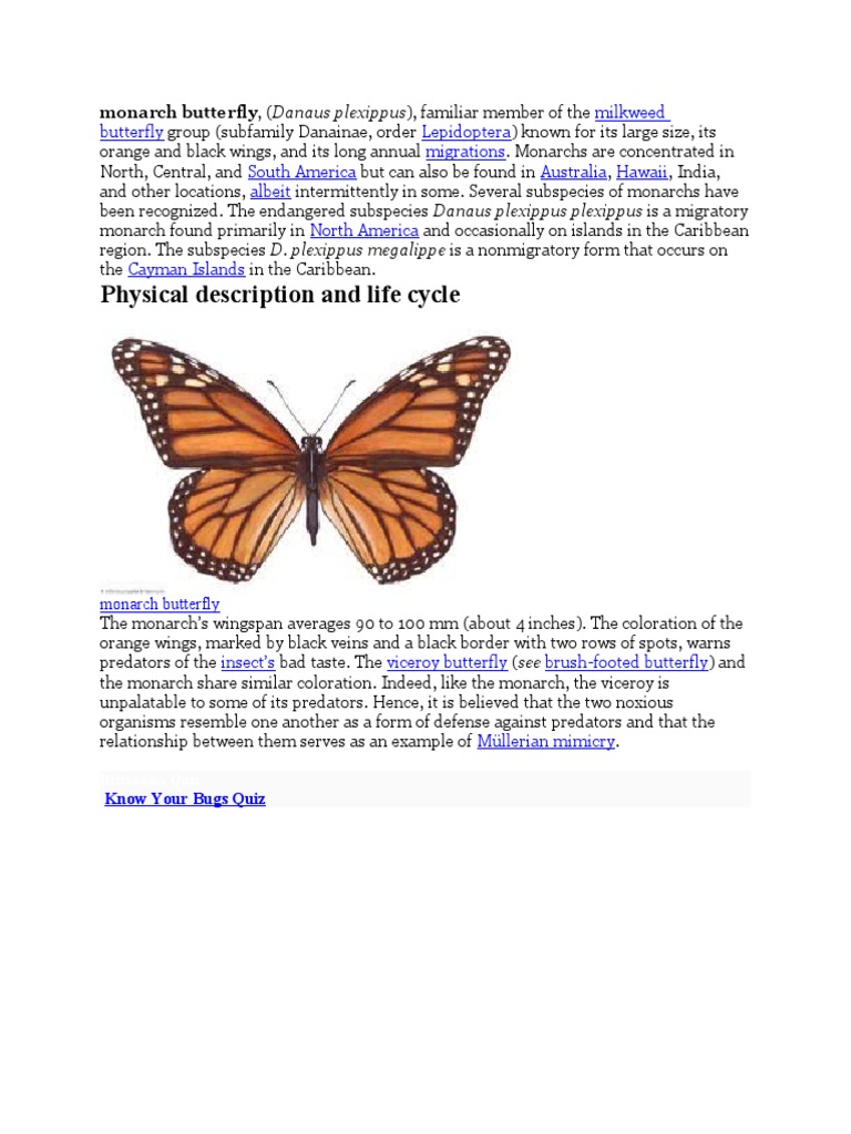 Monarch Butterfly | PDF | Flowers | Butterfly