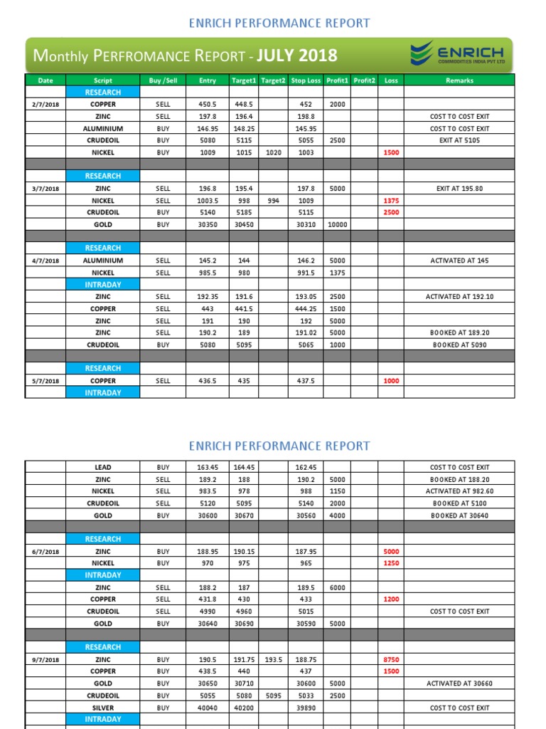 Monthly Performance Report JULY 2018 | PDF