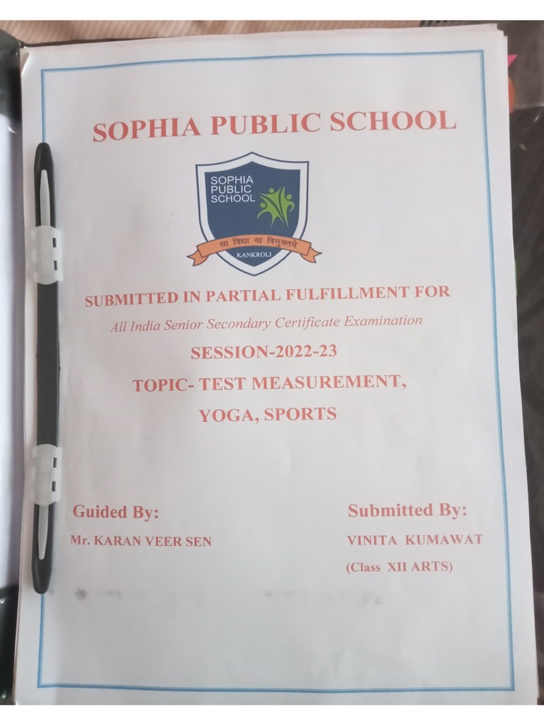 Class 12th Project File Physical Education | PDF