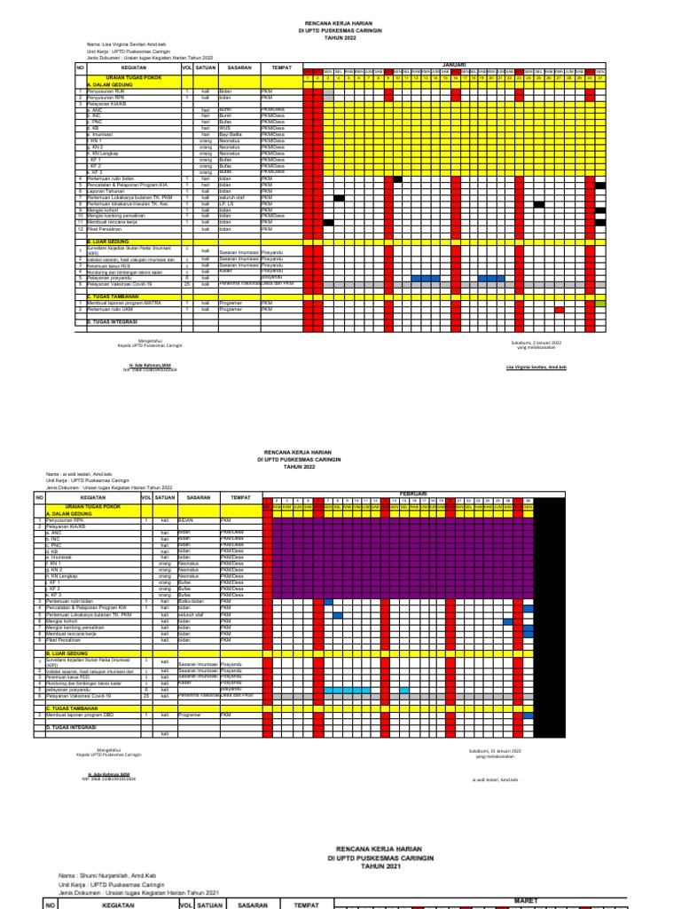Rencana Kerja Harian Bidan Ai Widi | PDF