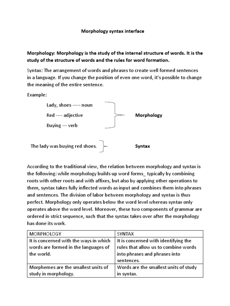 Morphology Syntax Interface Pdf