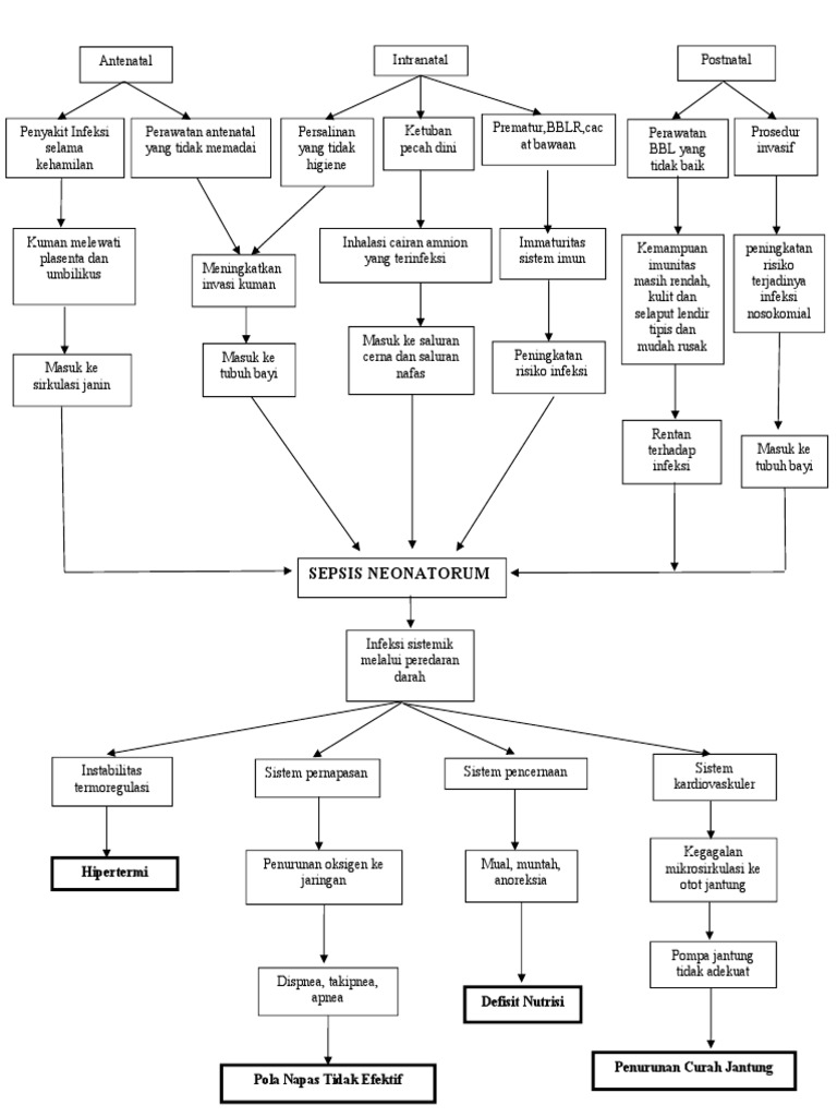 Pathway Sepsis Pdf