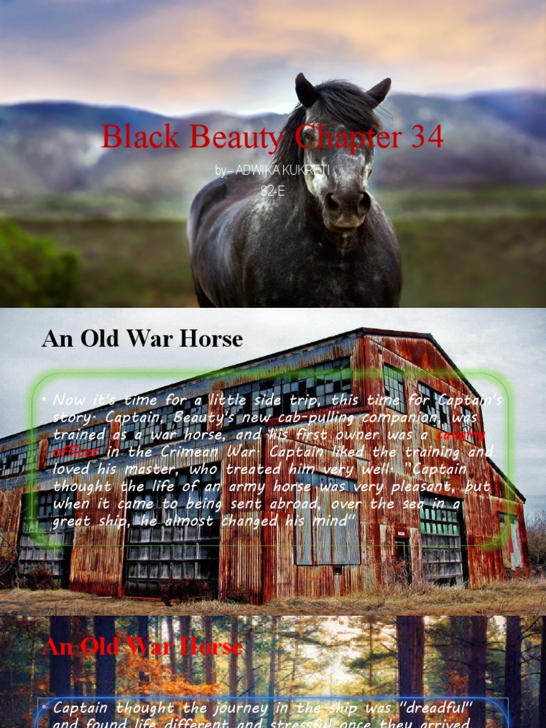 Black Beauty Chapter 34 | PDF