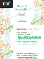 Toposheet Revision 1-G43 S10 | PDF