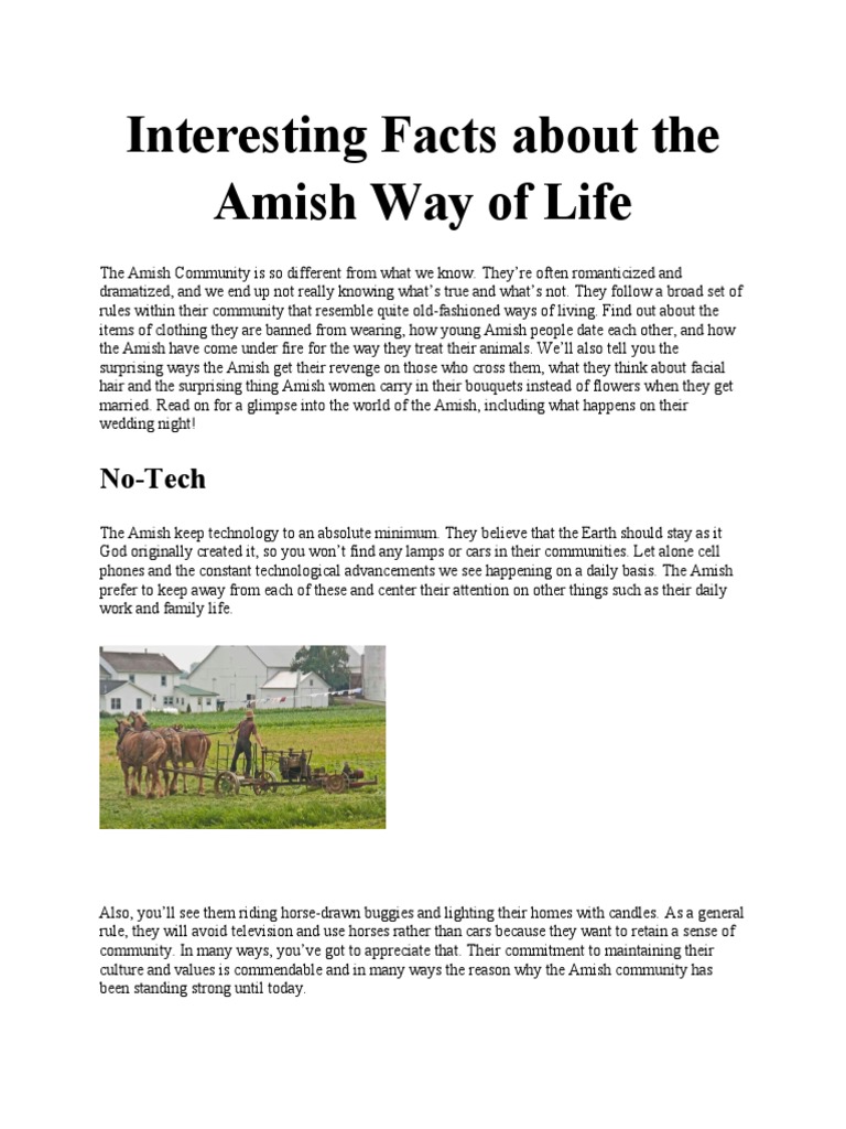 Amish Lifestyle | PDF | Wedding | Engagement