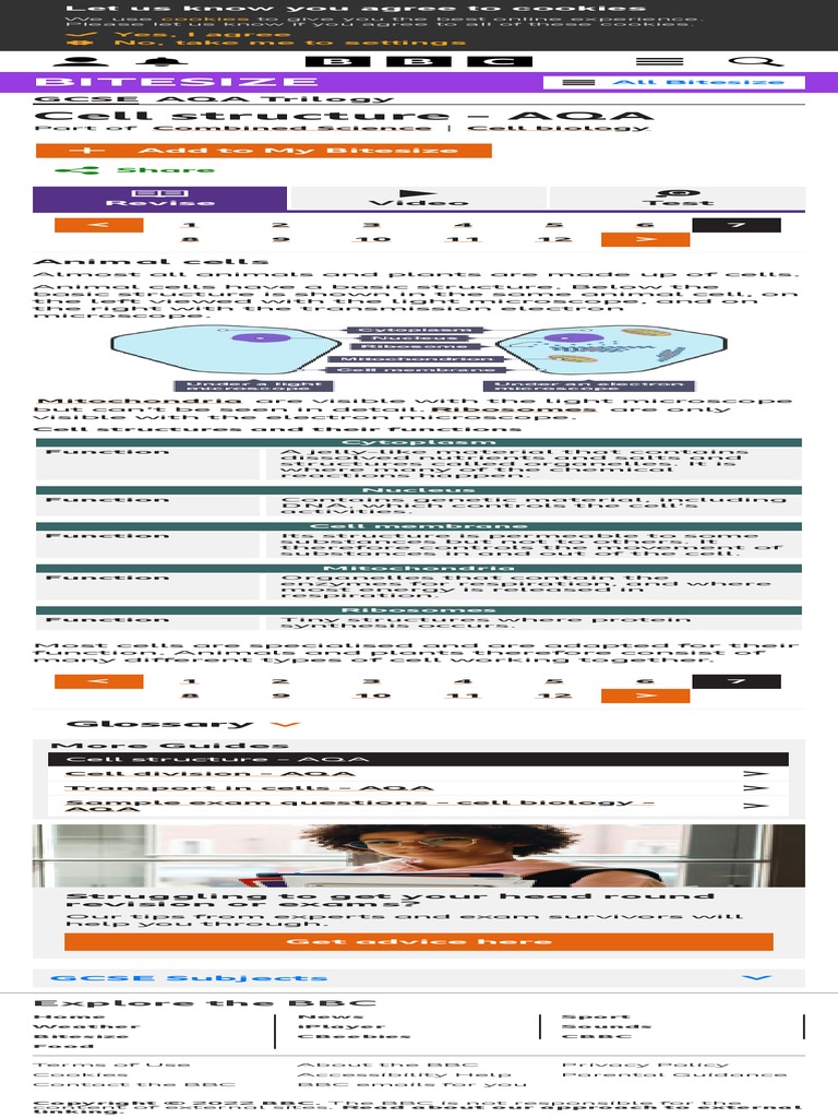 Animal Cells - Cell Structure - AQA - GCSE Combined Science Revision ...