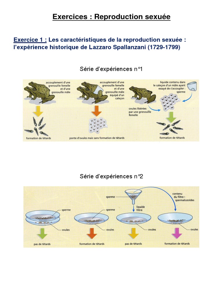 Exercices Reproduction Sexuée | PDF | Fécondation | Mâle