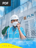 Company Profile PLN | PDF