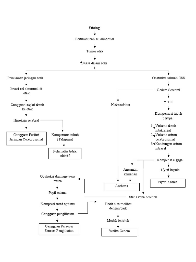 Pathway Tumor Otak-1 | PDF