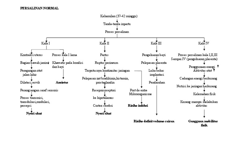 Tahapan Persalinan Normal | PDF