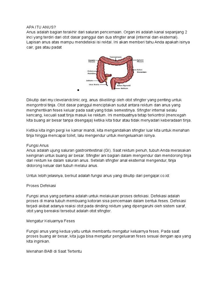 Anus Pdf