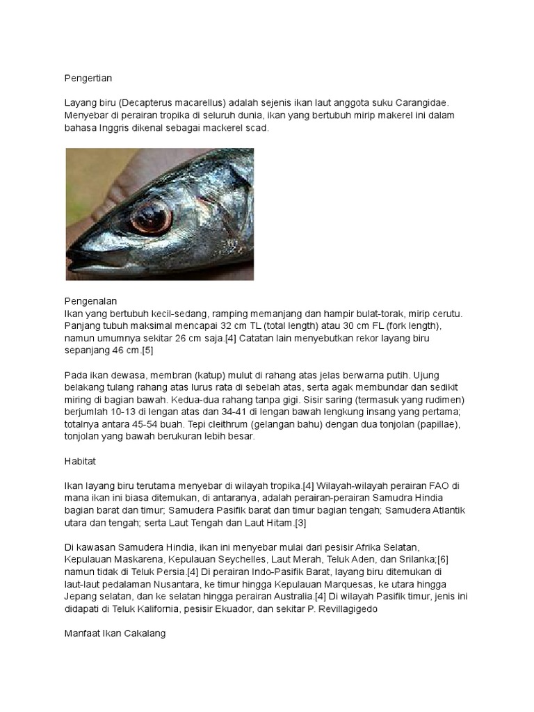 Ikan Malalugis | PDF