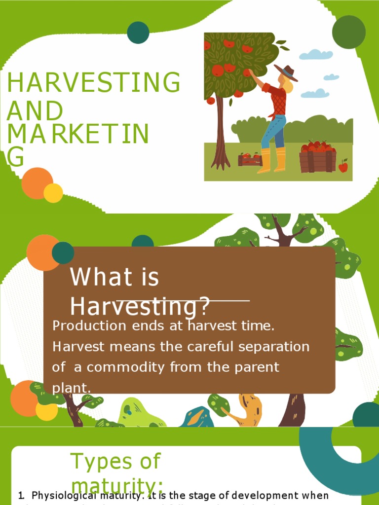 Harvesting and Marketing Powerpoint Lesson5 | PDF | Vegetables | Fruit