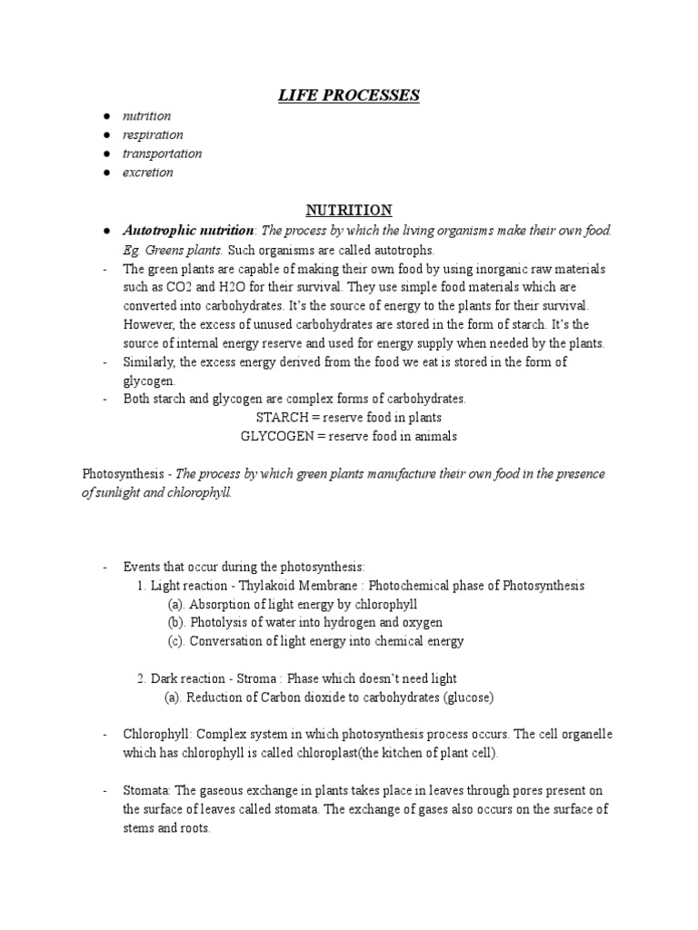 Life Process - Nutrition | PDF | Digestion | Photosynthesis
