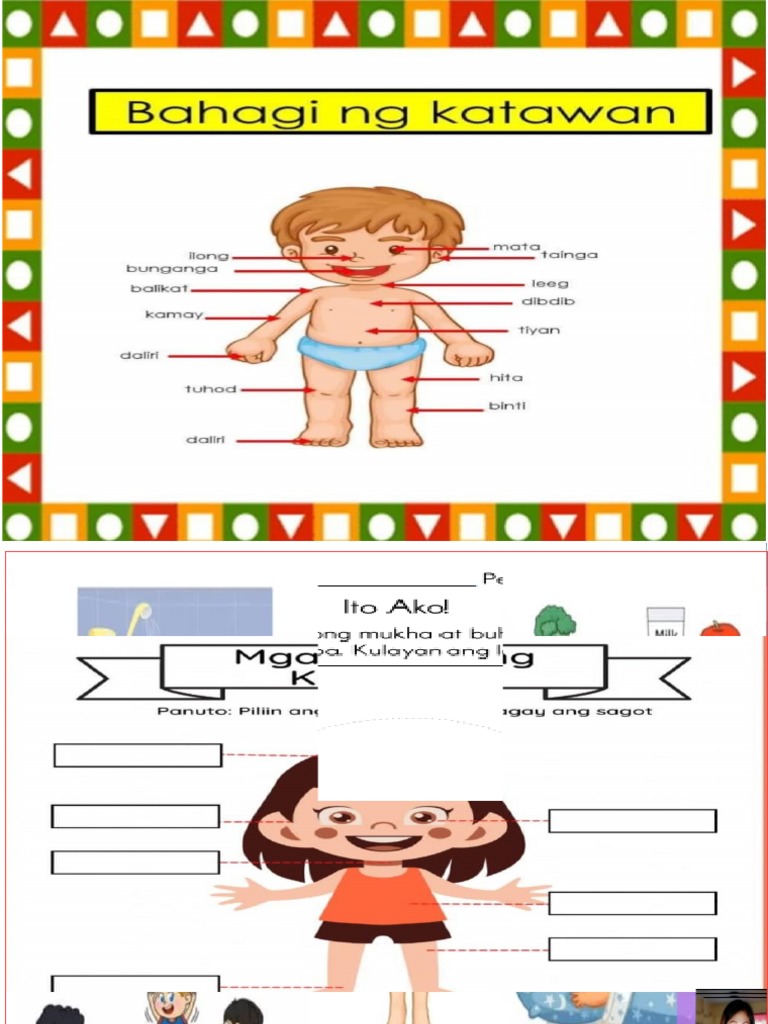 Bahagi NG Katawan | PDF