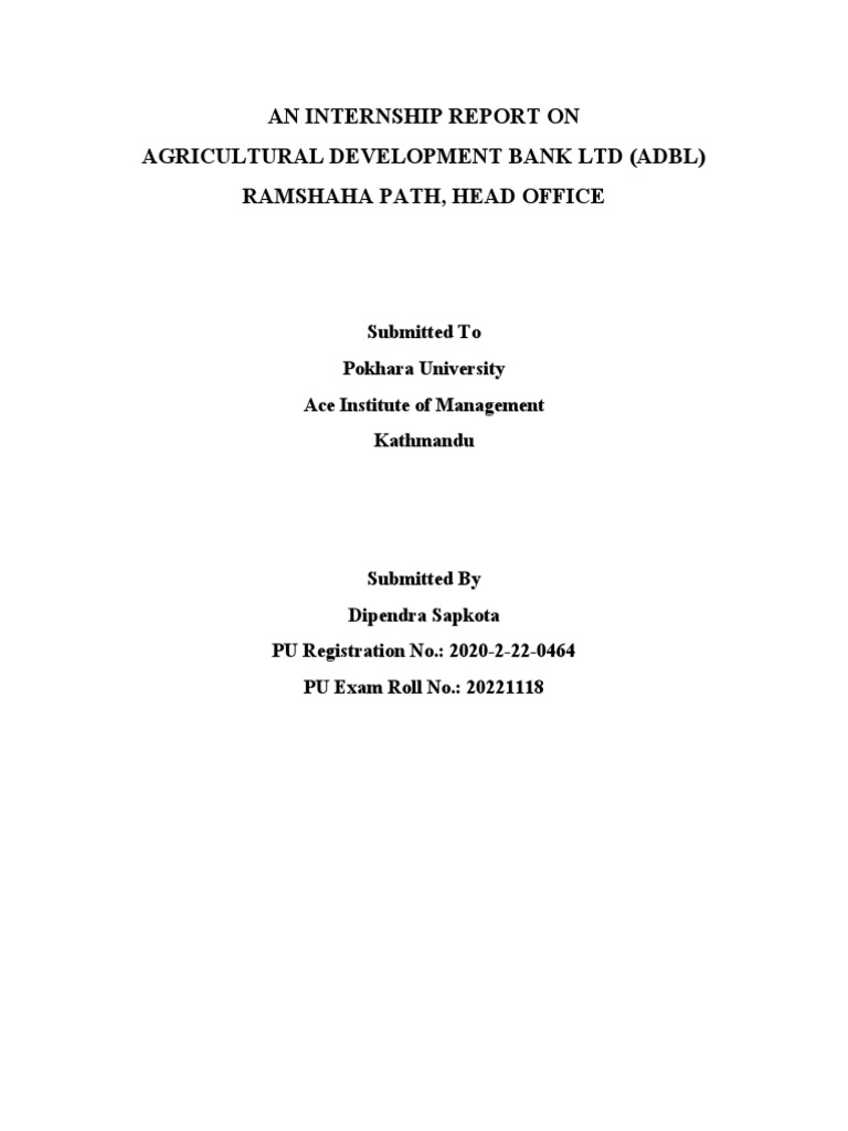 Internship Report Dipendra | PDF