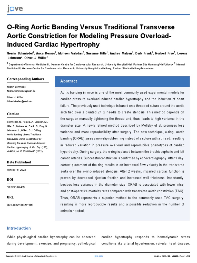 O-Ring Aortic Banding Versus Traditional Transverse Aortic Constriction ...