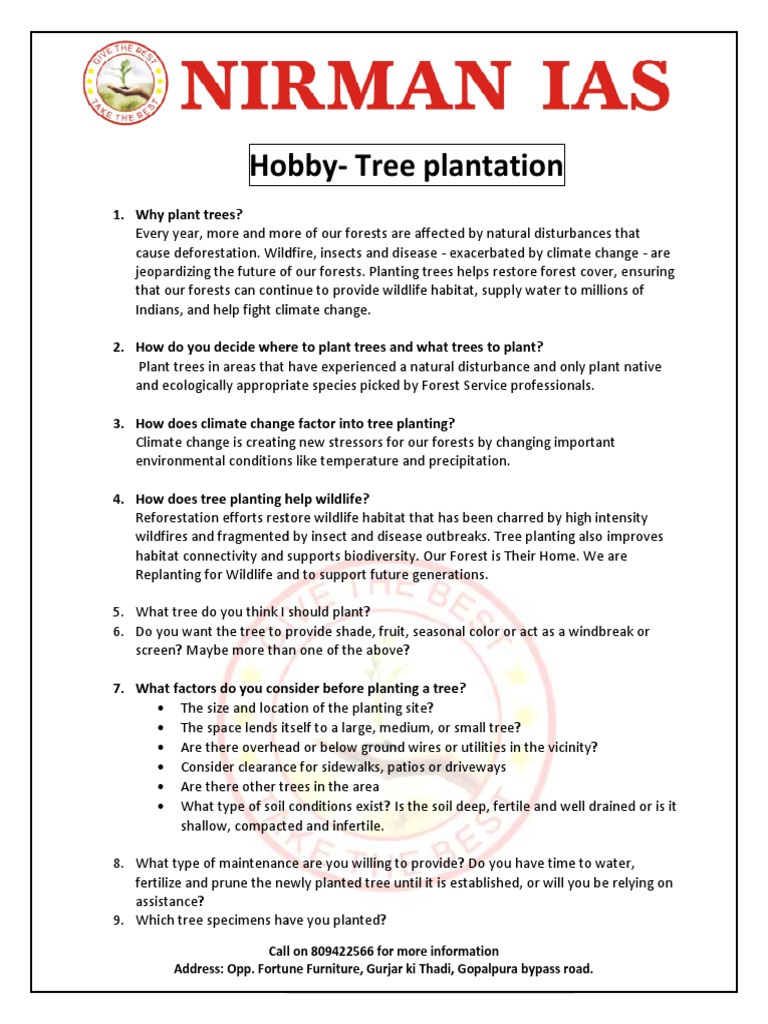 Tree Plantation | PDF | Trees | Forests