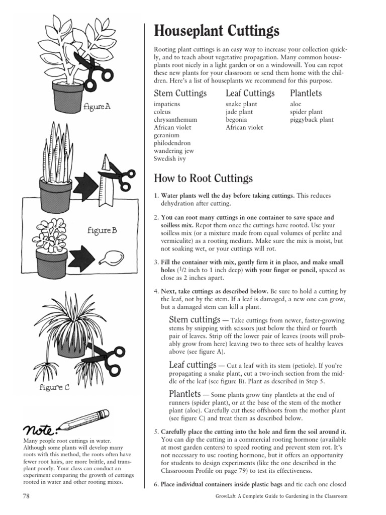 Grow Lab Complete Guide Sample Kids Gardening | PDF | Potato | Root