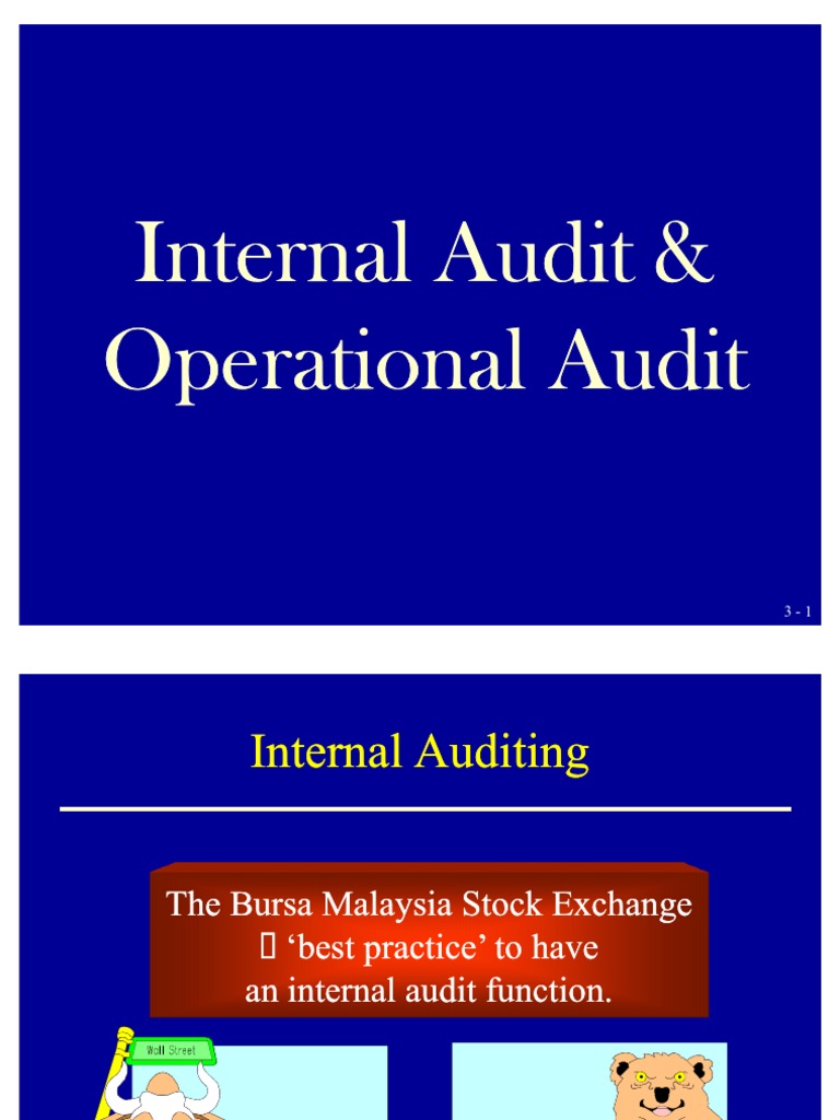 Internal Audit and Operational Audit | PDF