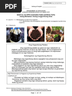 KALENDARYO NG Pagtatanim | PDF