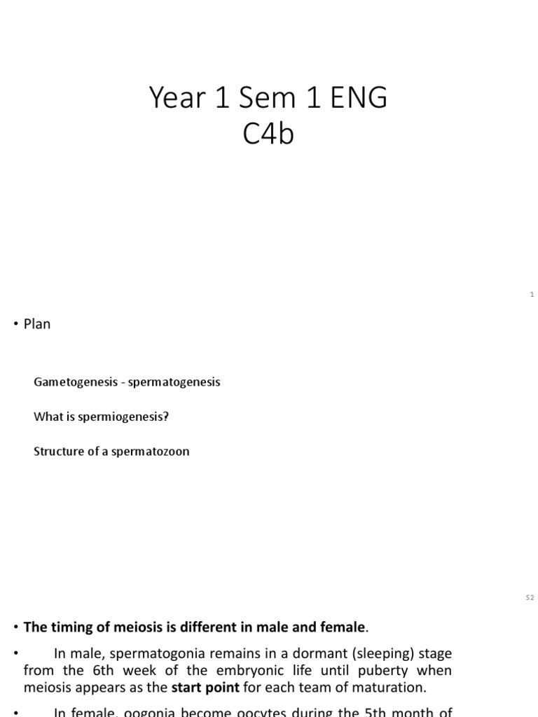 Spermatogenesis and Sperm Structure | PDF