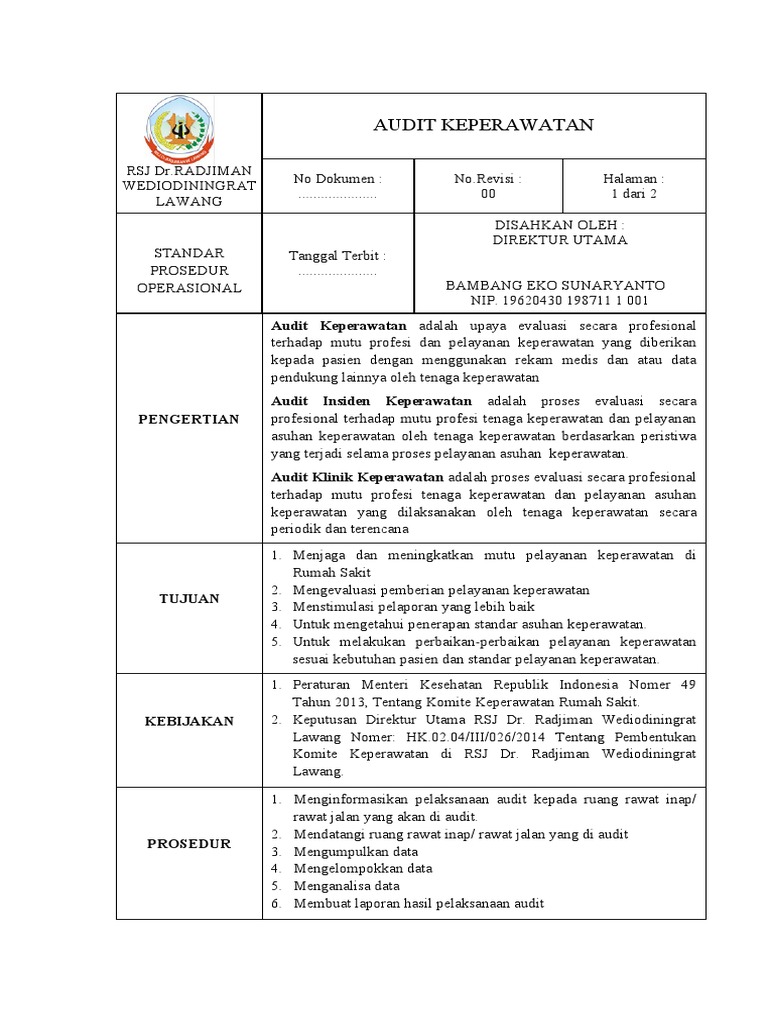 Audit Keperawatan | PDF
