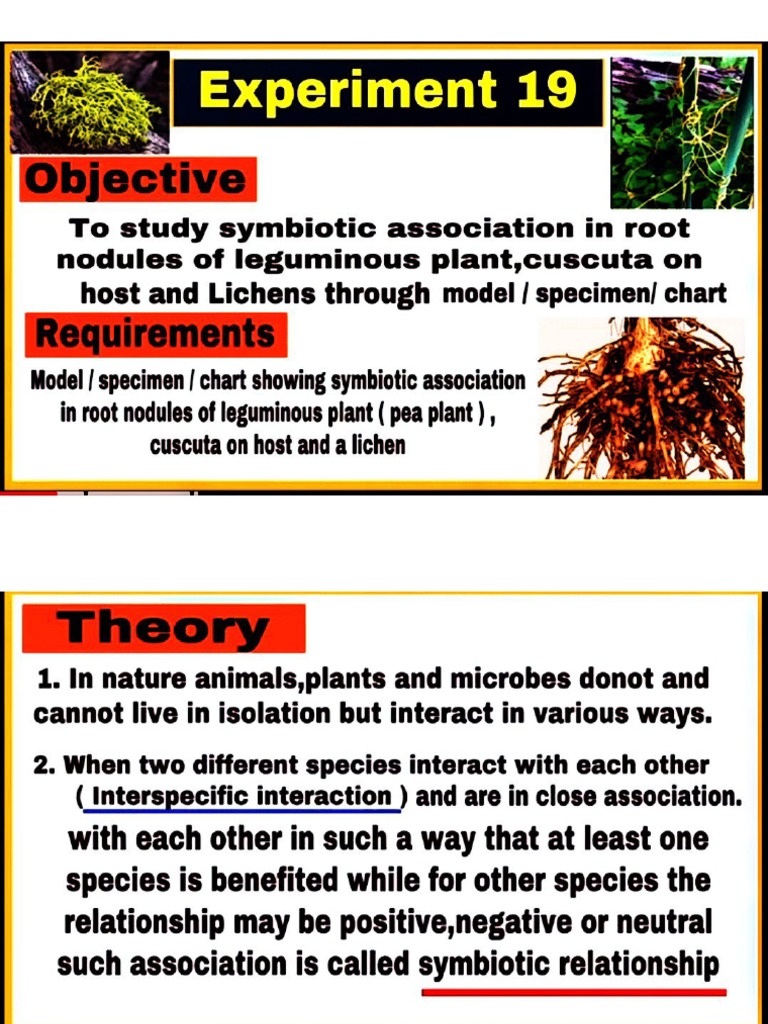 Experiment No - 10 | PDF