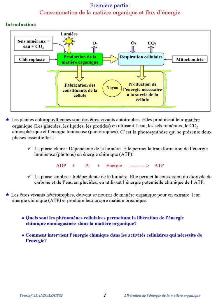 Cours Unit1 1 | PDF