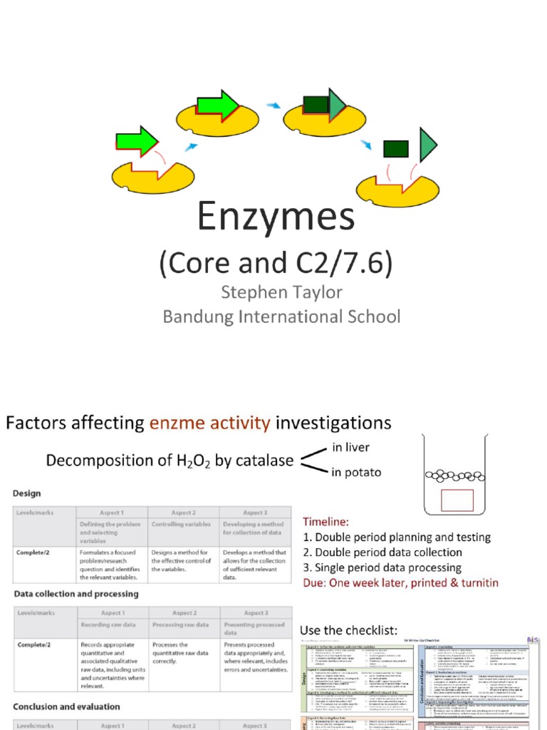 Enzymes | PDF