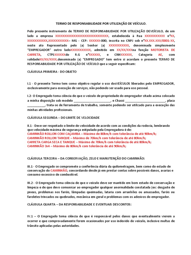 MODELO Termo de Responsabilidade de Veículo | PDF