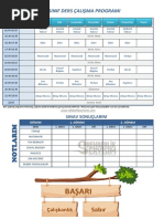 Sinif Lgs Ders Calisma Plani | PDF